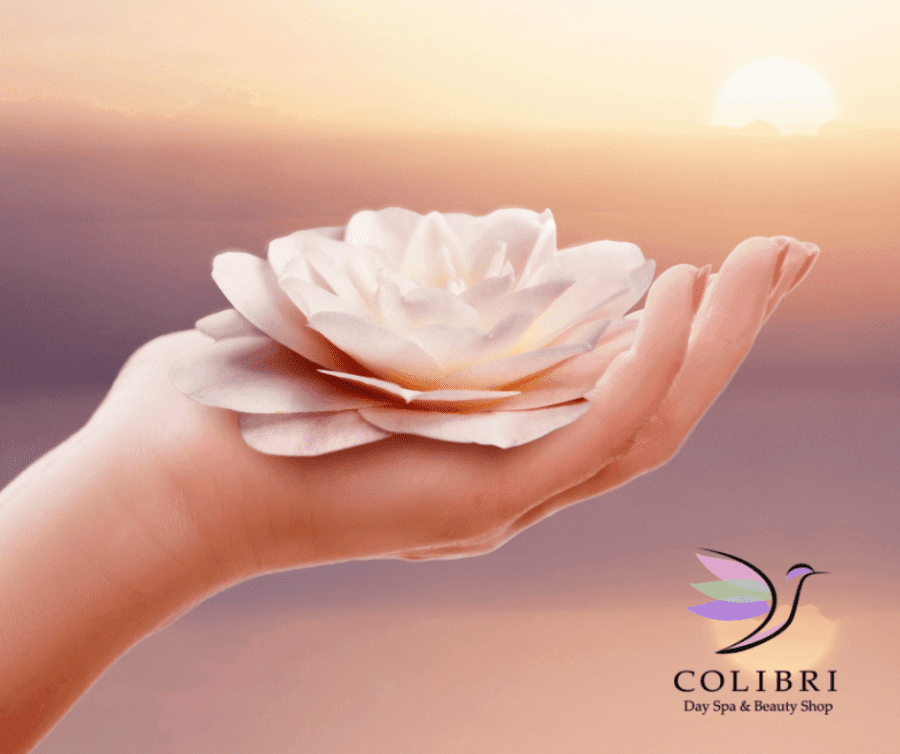 Take a Wellness Break at Colibri Day Spa | Spa Packages Sarasota